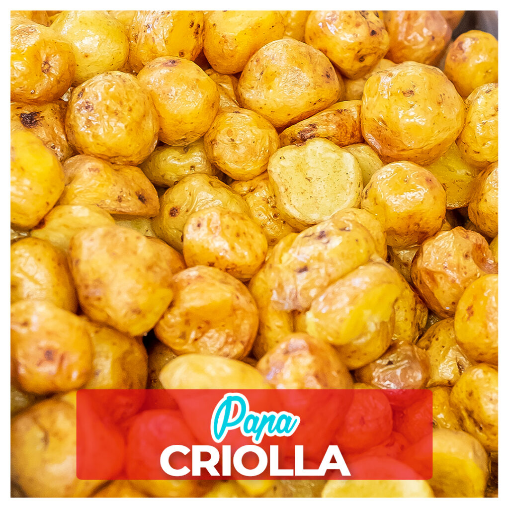 Papa criolla – Sanres Parrilla Colombiana